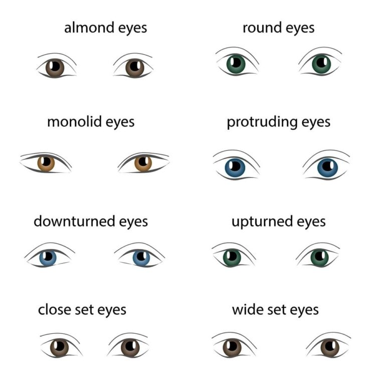 8 Different Types Of Eye Shapes 8-different-types-of-eye-shapes